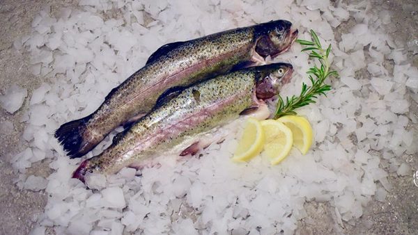 Online bestellen – Visspecialiteiten Leerdam